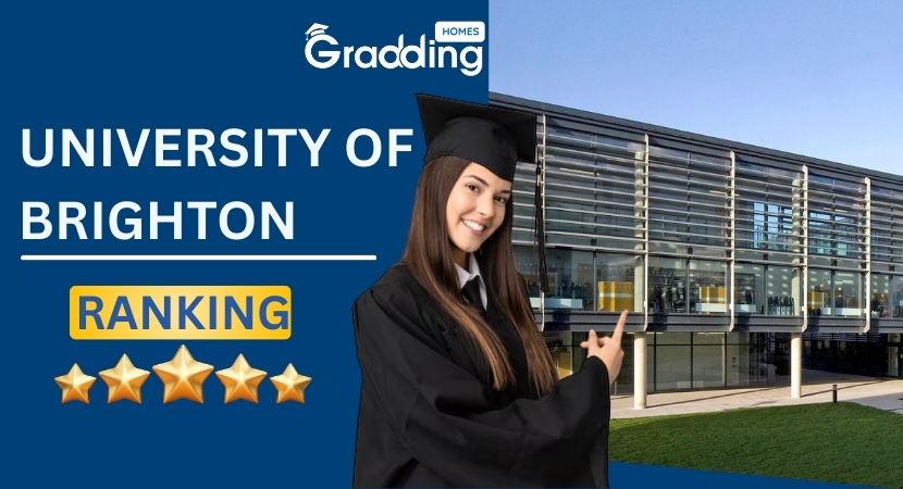 Brighton University