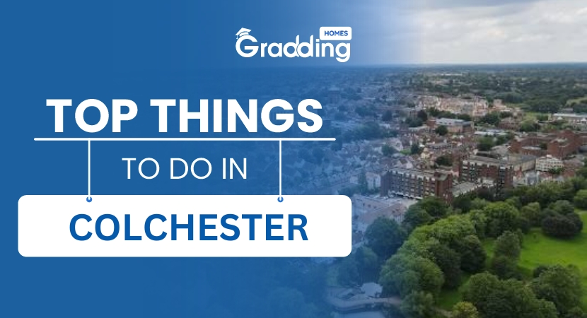 Top Things to Do in Colchester: A Guide to Fun Experiences